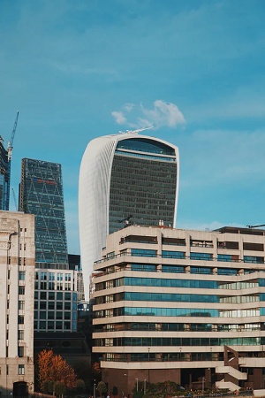 Ark Consultancy